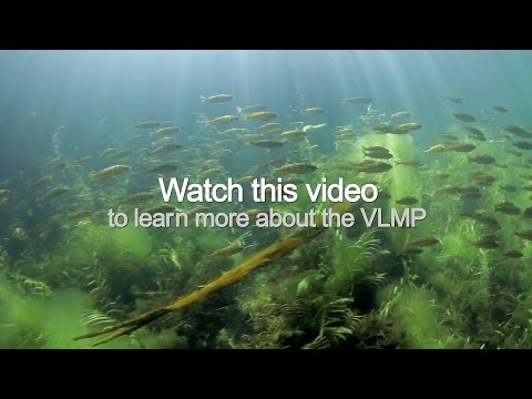 Maine Volunteer Lake Monitoring Program Mission Statement
