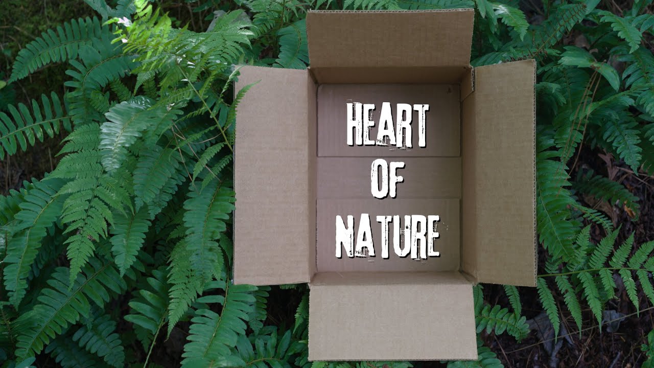 Heart of Nature (Short Film)
