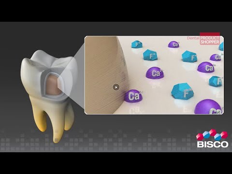 Dental Health Products | BISCO Inc.