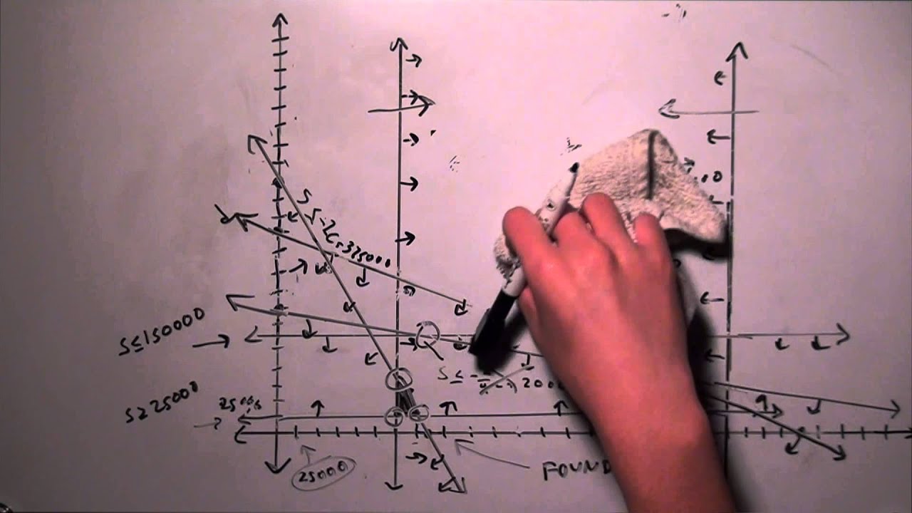 Linear Programming Project