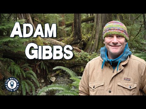 Adam Gibbs: Exploring ‘Quiet Light’ and the Art of Nature Photography