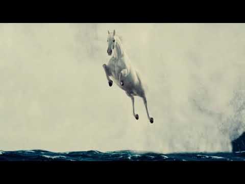 Galloping Horse Film (小馬奔騰) - 2010