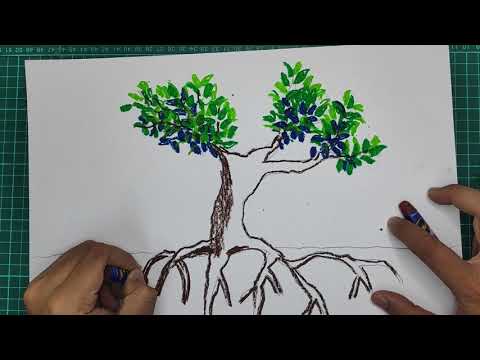 How to Draw a Mangrove Tree Step by Step – I'm Youtuber – Follow my ...