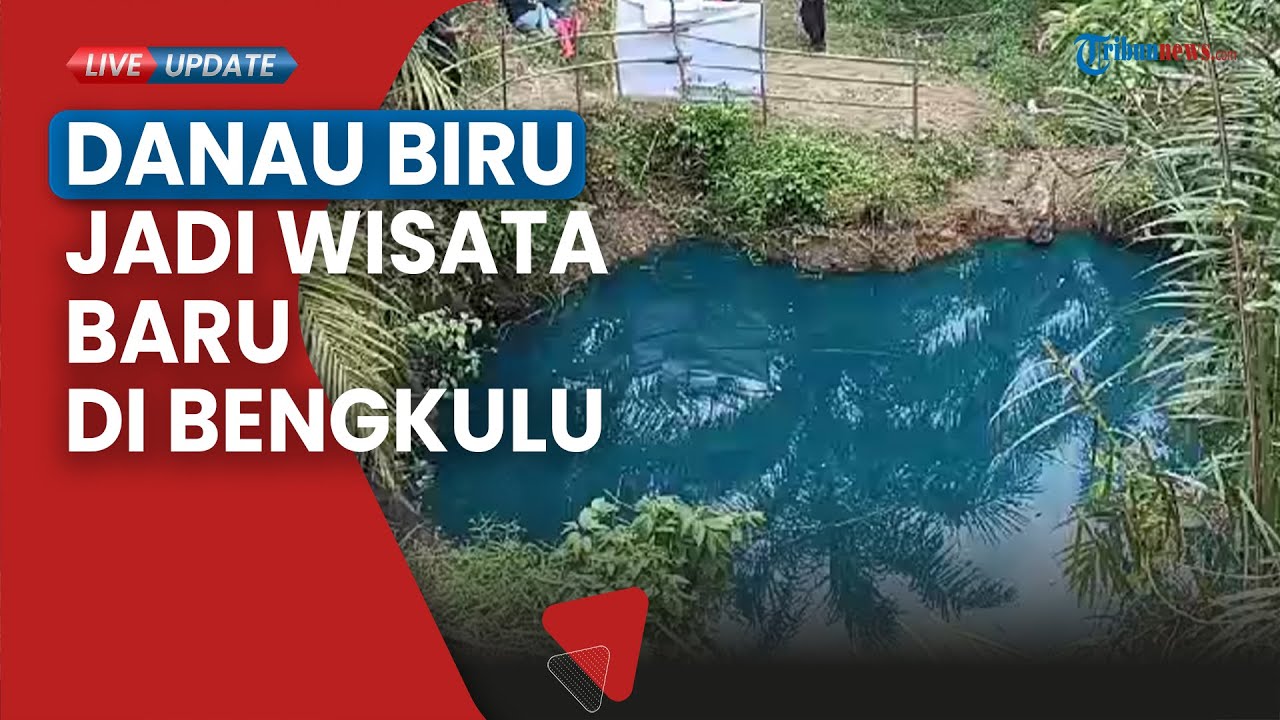 Wisata Alam Baru di Provinsi Bengkulu, Danau Ulak Lebar dengan Air ...