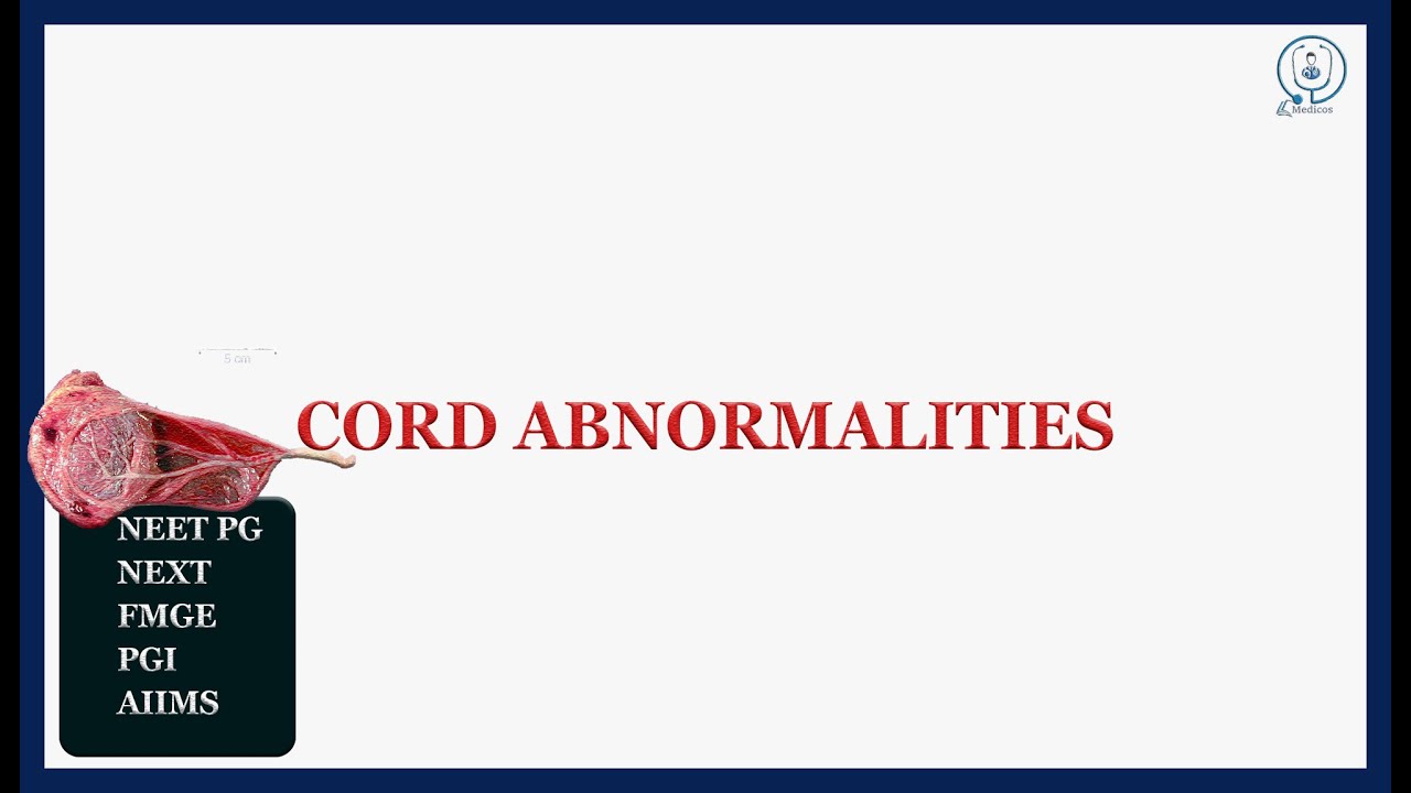 placental and cord abnormalities | NEET PG |