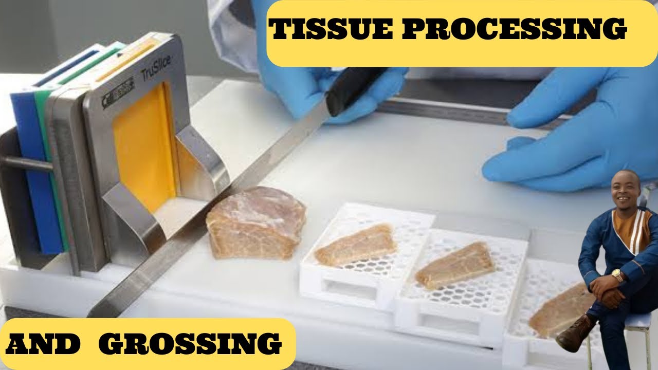Histopathology part 3: Tissue Processing | Clearing |Impregnation
