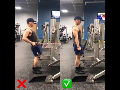 Cable Straight-back Stiff-leg Deadlift | myworkouts.io