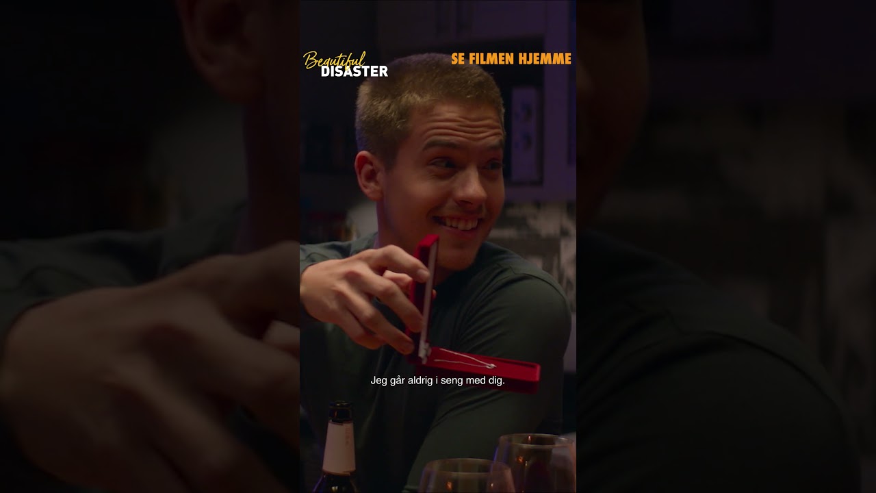 Beautiful Disaster I Spot