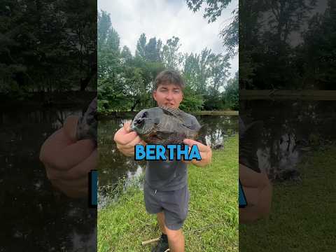 STATE RECORD BASS LIVES HERE 😦 #bassfishing #shorts #fishing