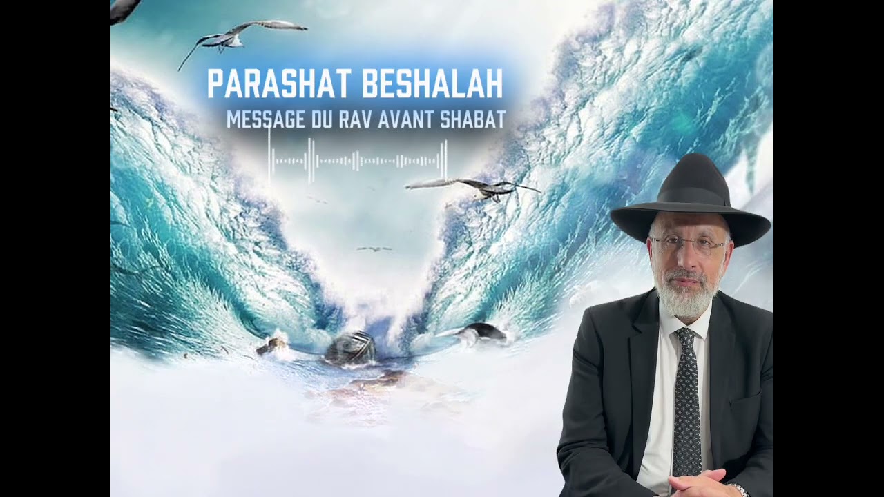 Parashat Beshalah 5785 - Message du Rav avant Shabat 🇮🇱 - ToratHaim