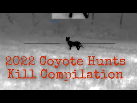 2022 Coyotes - Kill compilation