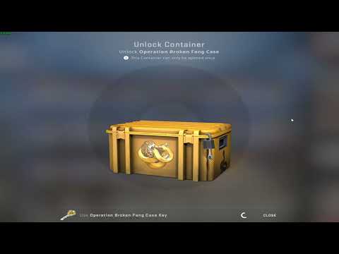 Steam Community :: Video :: 1 Case 1 Printstream