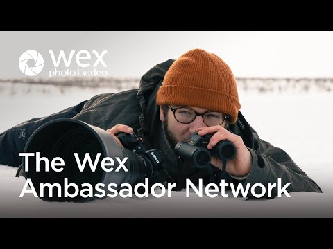 The Wex Ambassador Network | Tom Mason