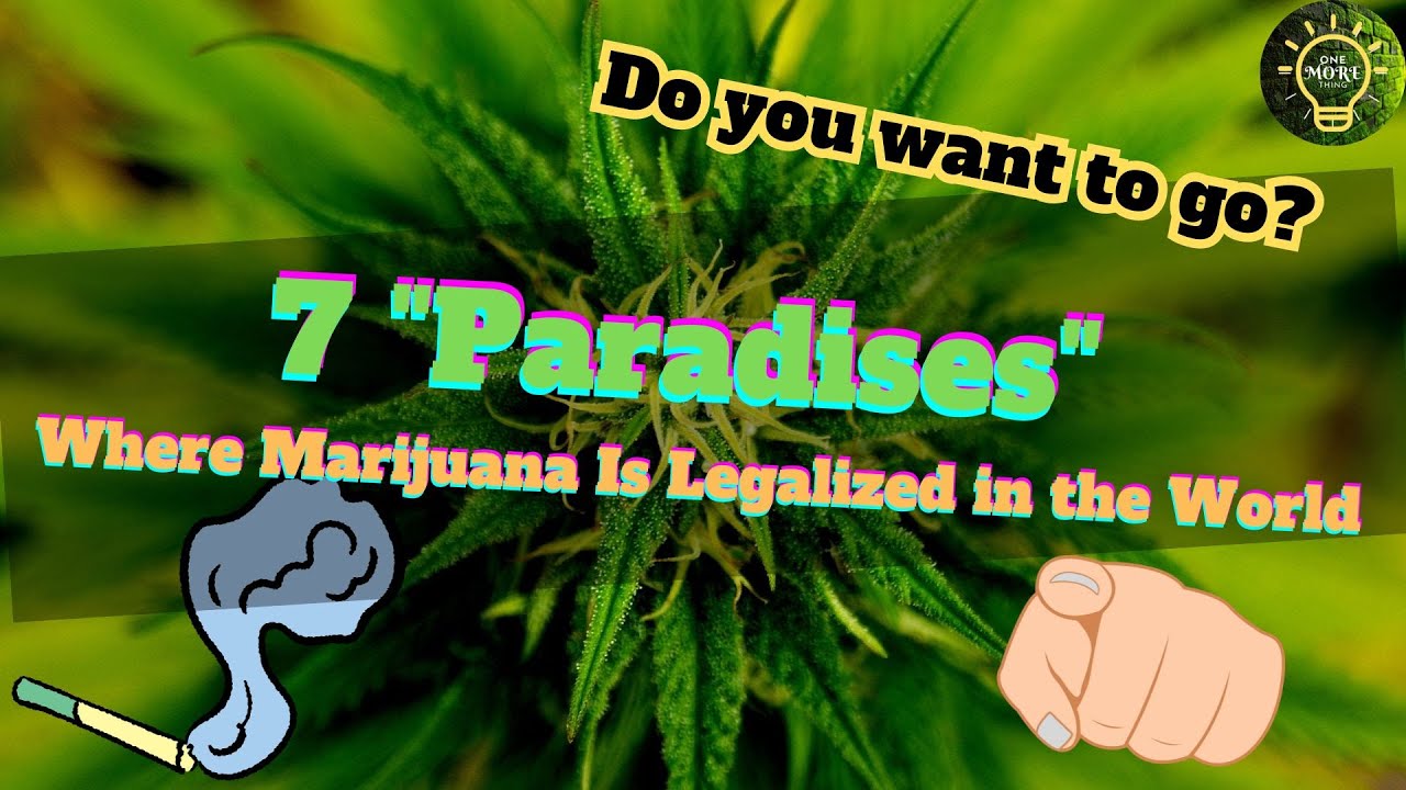 Marijuana Legalization Around the World: Discover the 7 Countries | OMT | #marijuana