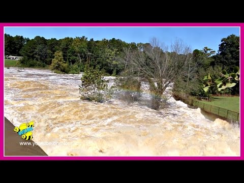 🌀 HURRICANE MATTHEW AFTERMATH FOOTAGE 🌀 ~ NORTH CAROLINA ROCKY MOUNT