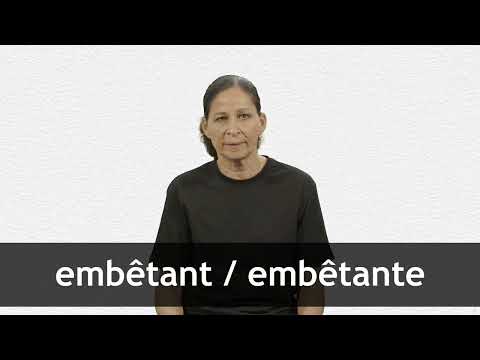 English Translation of “EMBÊTANT” | Collins French-English Dictionary