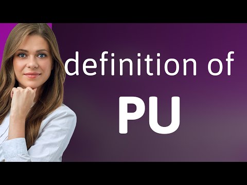 Pu — what is PU definition