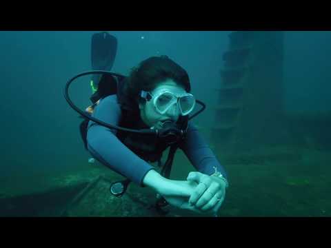Diving in Destin-Fort Walton Beach | Lessons + Prices