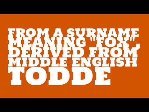 What is the origin of the name Todd?