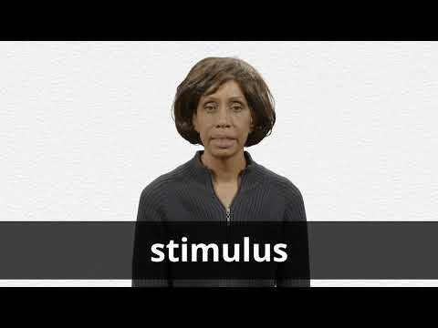 STIMULUS definition and meaning | Collins English Dictionary