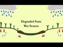 Wetlands supporting livelihoods in Malawi and Zambia