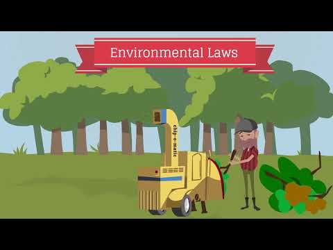 What are Special Laws? Basic Legal Education| Law Maitri