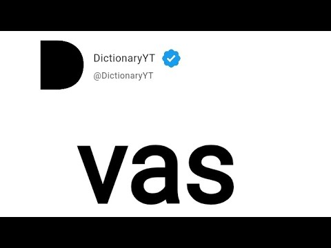 vas Meaning in English