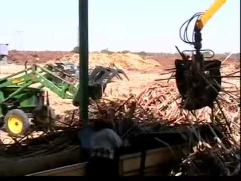 Bull Concrete Mixer - Bull Self Loading Concrete Mixer Wholesale Trader ...