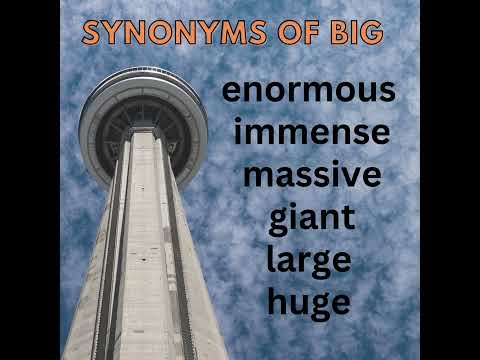 Synonyms OF BIG
