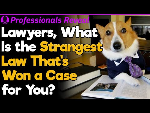 Lawyers, What's the Weirdest You've Used and Won? | Professionals Stories #59