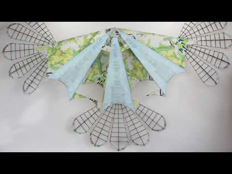 Stephen Hoskins - Lilienthal wings
