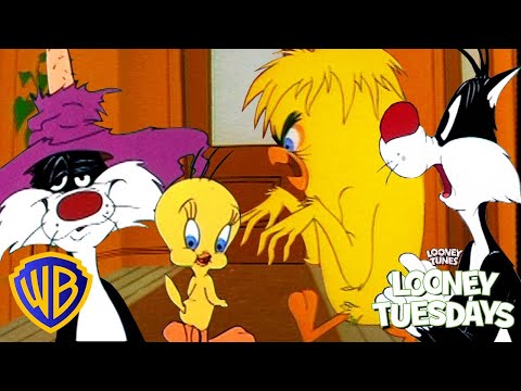 Looney Tuesdays | Sylvester???? VS Tweety???? | @wbkids