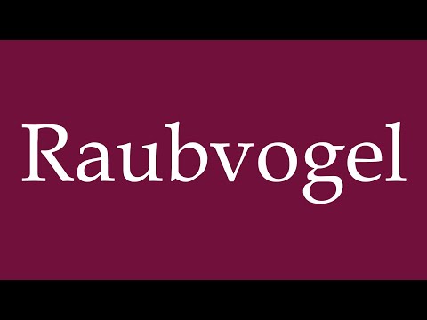 How to Pronounce ''Raubvogel'' (Bird of prey) Correctly in German