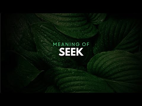 Meaning of Seek
