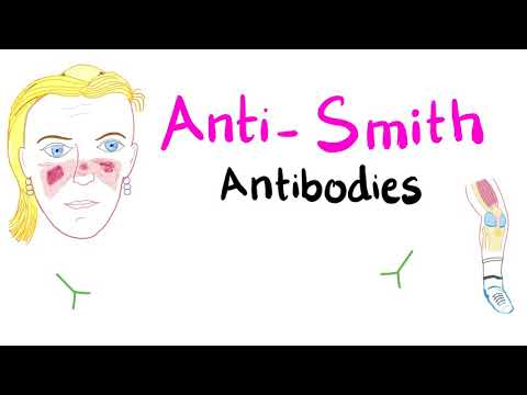 Anti-Smith (anti-Sm) Antibodies; Systemic Lupus Erythematosus