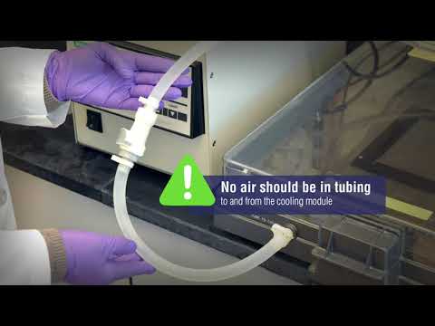 What is Pulse Field Gel Electrophoresis?