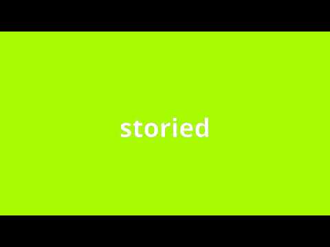 what is the meaning of storied
