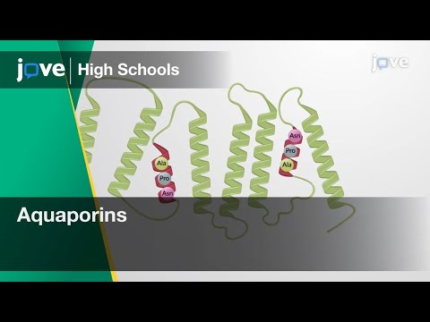 Aquaporins | Cell Bio | Video Textbooks - Preview