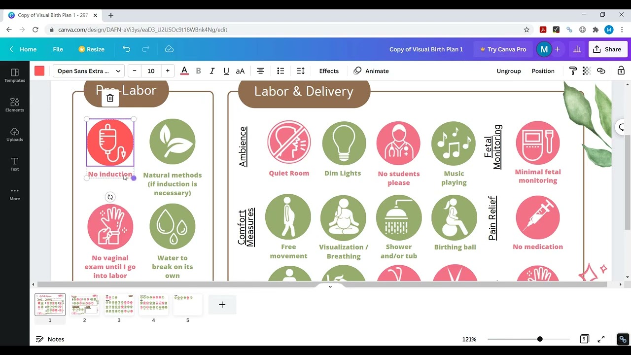 How to Edit the Visual Birth Plan in Canva