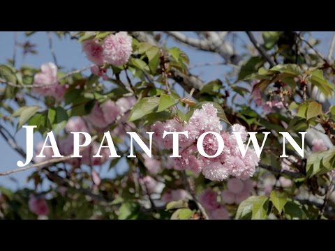 "Japantown San Jose, CA" Where Tradition and Progress Meet