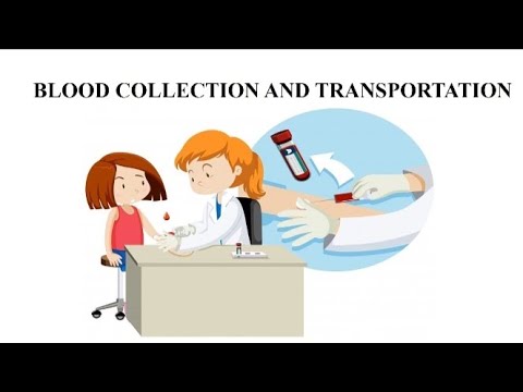 Blood collection and transportation @mltinformations3289