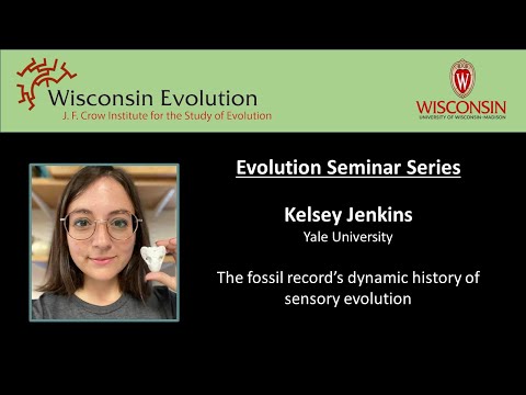 Kelsey Jenkins: The fossil record's dynamic history of sensory evolution
