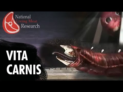 THE DISTURBING WORLD OF VITA CARNIS