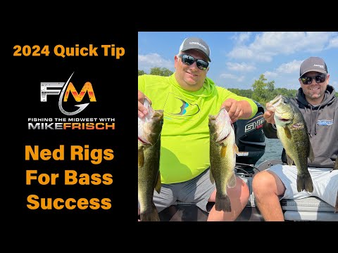 Use Ned Rigs To Catch More Summer Bass! - 2024 Quick Tip