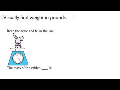 Visually find weight in pounds.