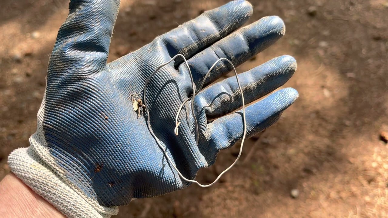 Daleway park some more #metaldetecting