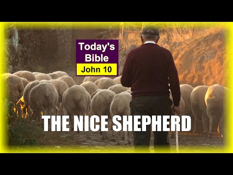 The Nice Shepherd: A Timeless Analogy