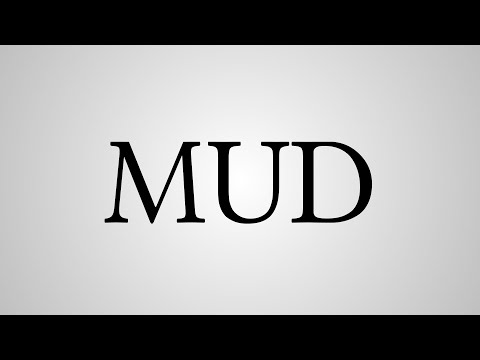 What Does "MUD" Stand For?