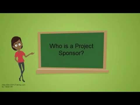 Who is a Project Sponsor?