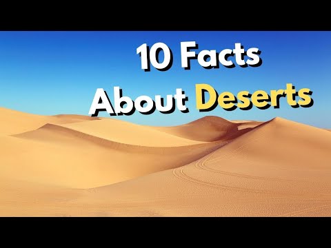 10 Interesting Facts About Deserts